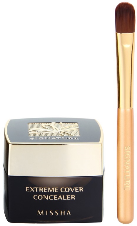 Missha Signature korektor s extrémním krytím se štětečkem | notino.cz