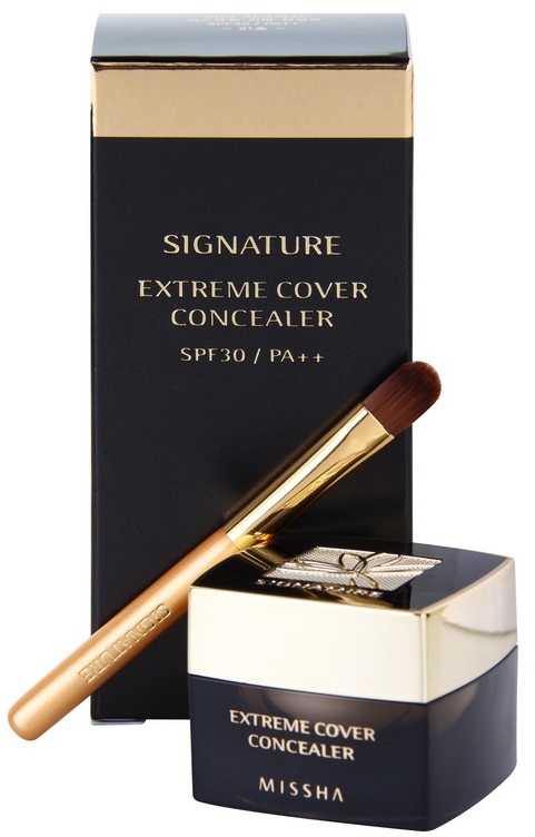 Missha Signature corretor de cobertura extrema com pincel | notino.pt