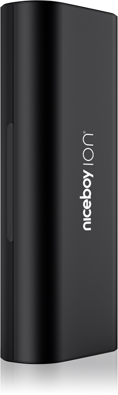 Niceboy ION Sonic Travel Case for toothbrushes | notino.ie