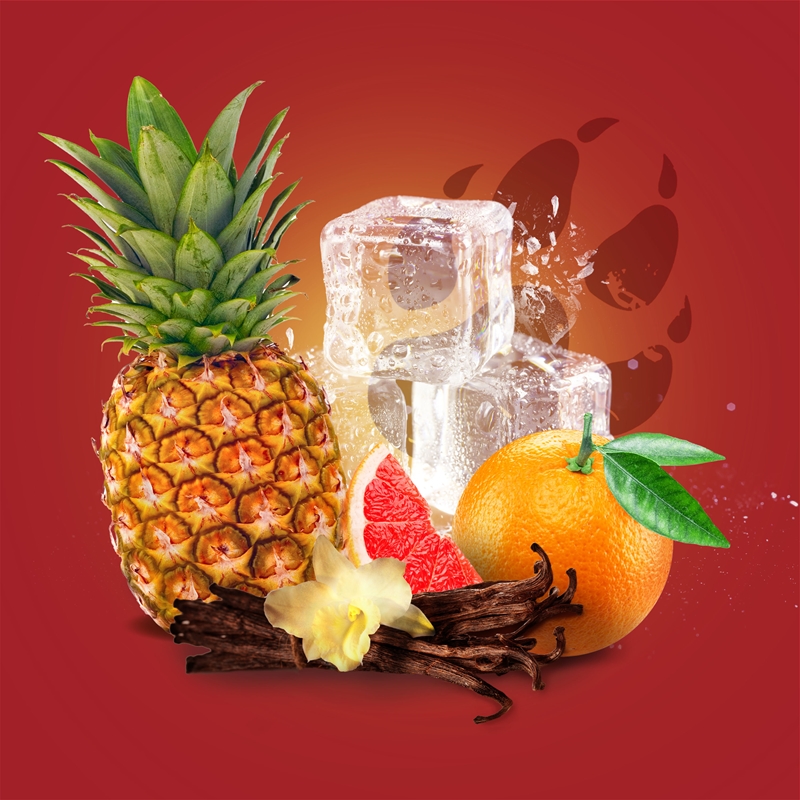 Old Spice Wolfthorn Wolf Gamer gift set (for men) | notino.co.uk