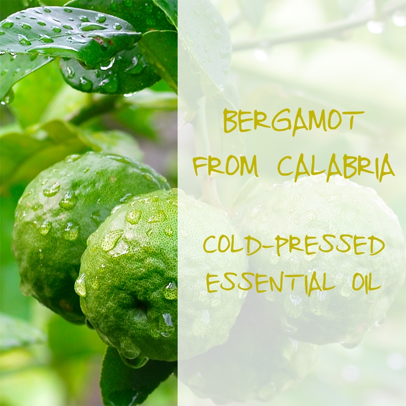 Omia Laboratories Bergamotto di Calabria Shampoo til fedtet hår | notino.dk