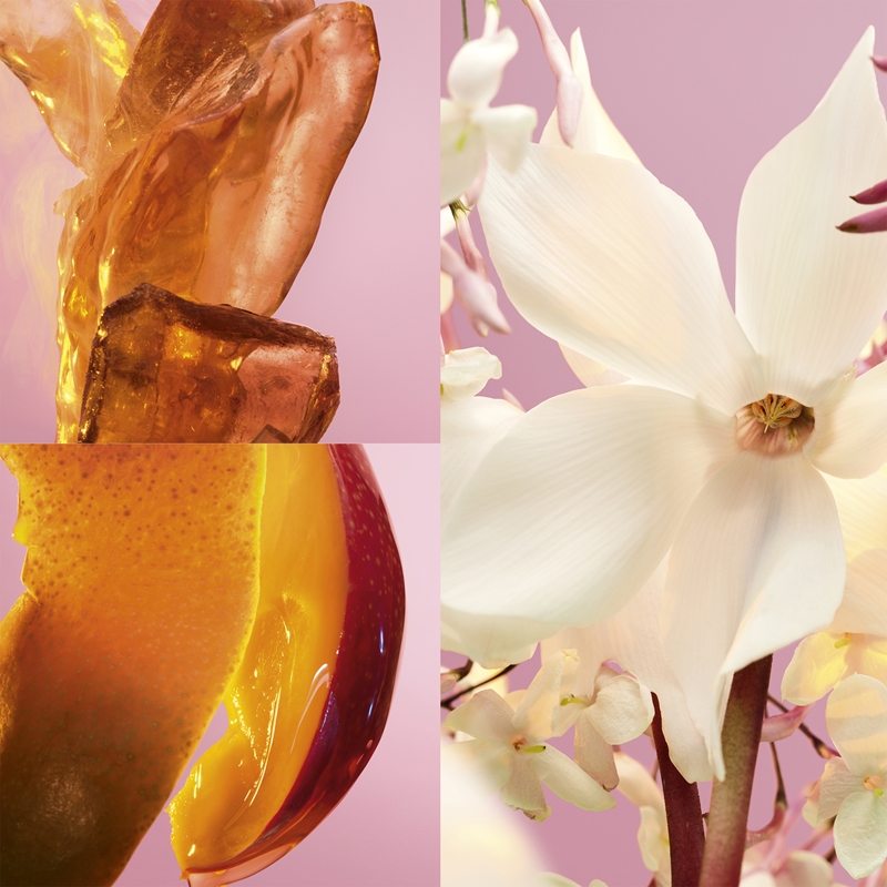 Rabanne Fame vůně do vlasů pro ženy | notino.cz