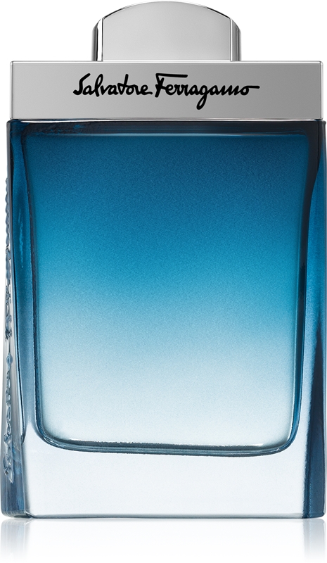 Salvatore Ferragamo Subtil Pour Homme Eau de Toilette for men | notino.ie