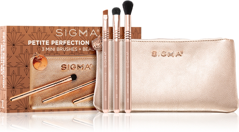 Sigma Beauty Rendezvous Petite Perfection Brush Set | Livrare între 2-4 ...