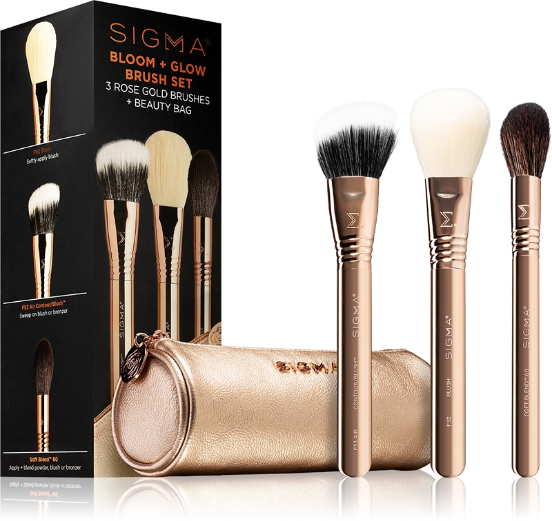 Sigma Beauty Brush Set Bloom + Glow Make-up Brush Set with Pouch ...