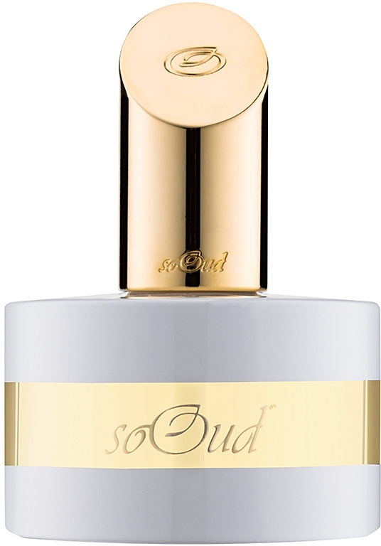 SoOud Fam eau de parfum mixte 60 ml | notino.fr