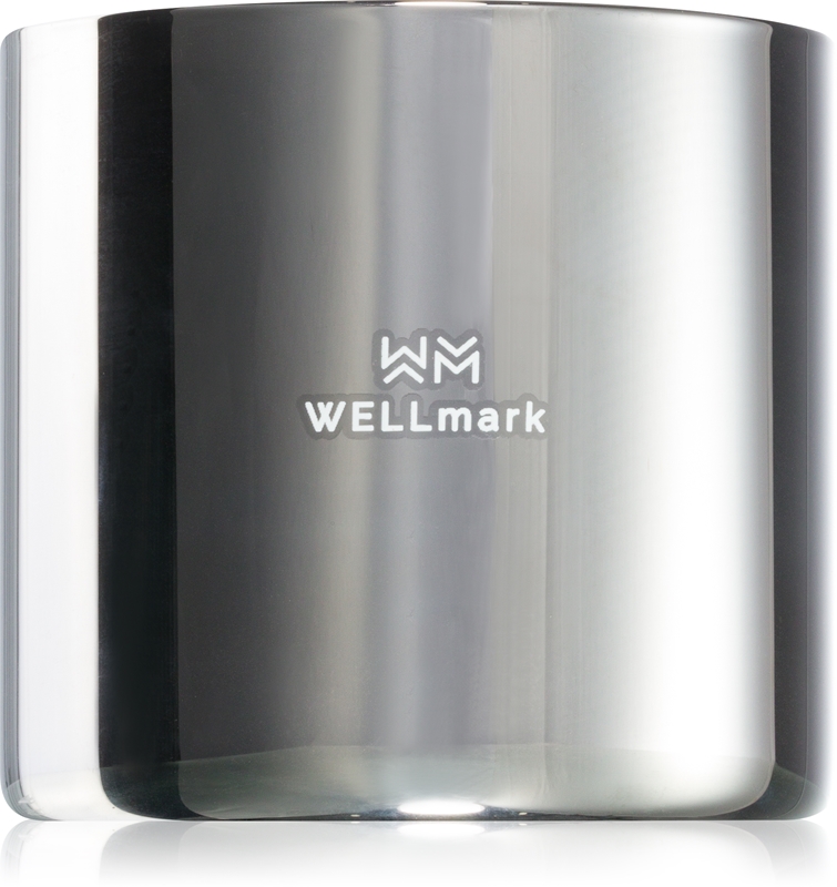 Wellmark Bold Future vela perfumada | notino.es