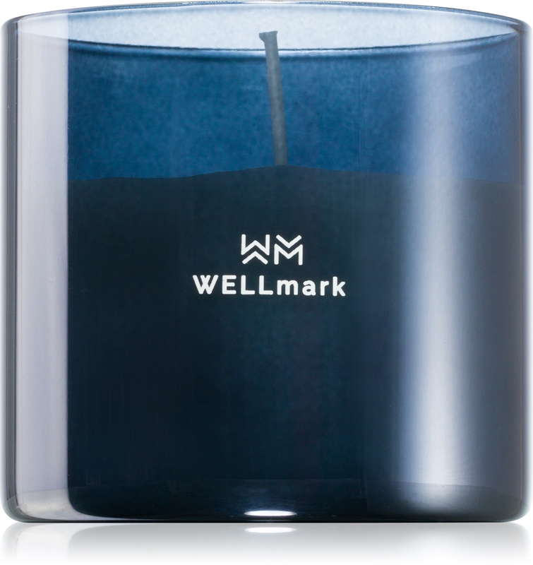 Wellmark Brave Night lõhnaküünal | notino.ee