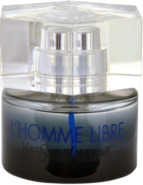 Yves Saint Laurent L'Homme Libre eau de toilette pour homme | notino.fr