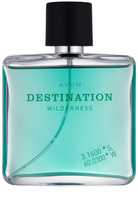 Avon Destination Wilderness toaletní voda pro muže | notino.cz