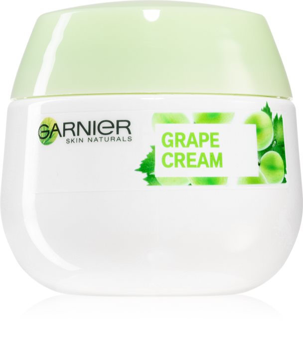 Garnier Botanical Moisturising Cream for Normal and Combination Skin ...