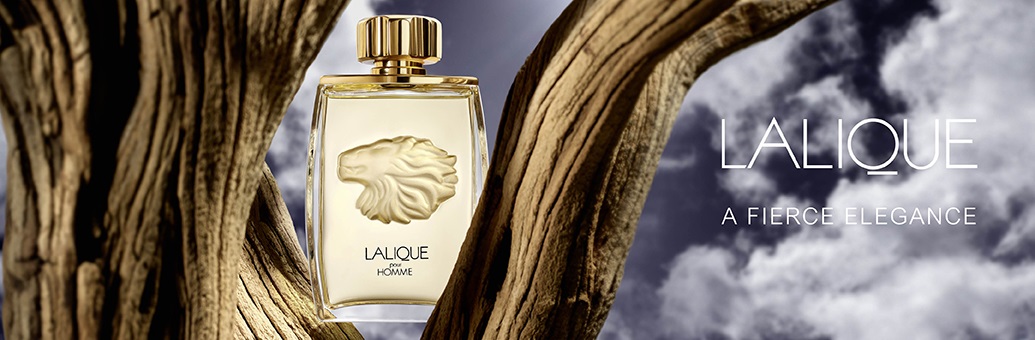 Najbolji Muški Parfemi - Parfemi za muškarce | notino.hr