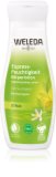 Καλλυντικά WELEDA | Σαμπουάν, αποσμητικά, κρέμες | notino.gr