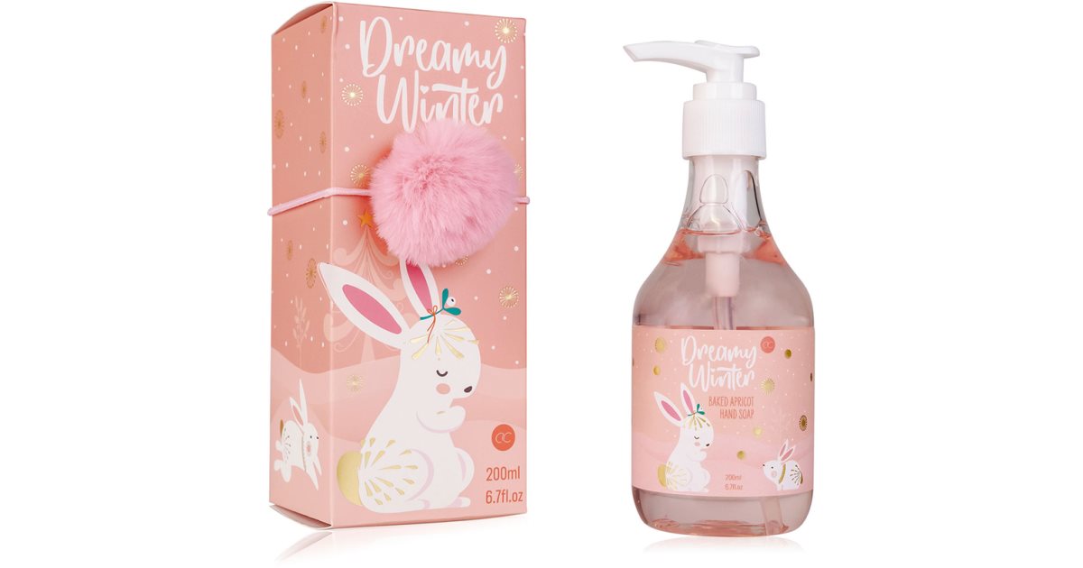 Accentra Dreamy Winter liquid hand soap | notino.co.uk