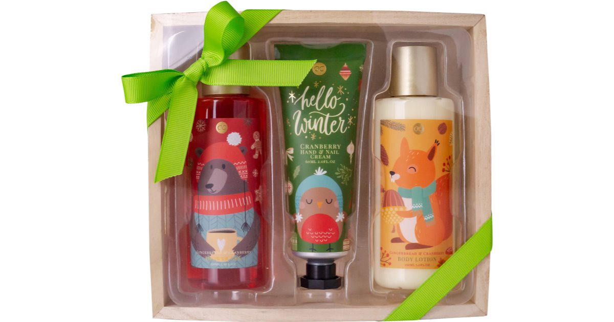 Accentra Hello Winter Gift Set for all types of skin | notino.ie