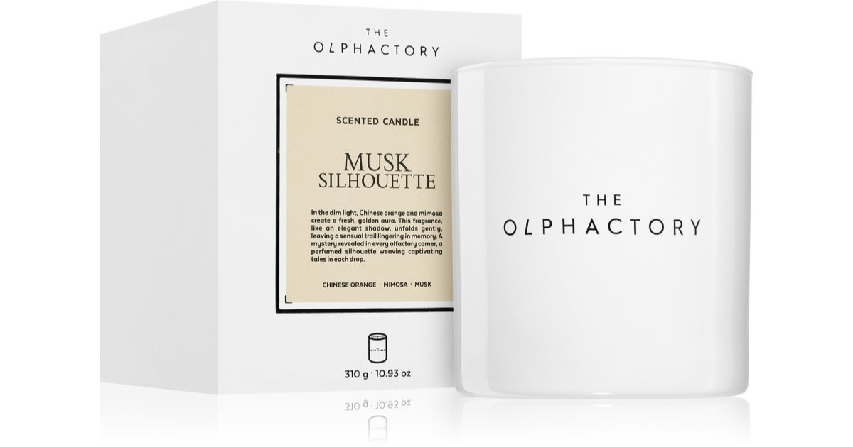 Ambientair The Olphactory White Insignia Musk Silhouette | notino.gr