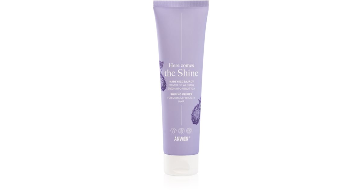 Anwen Here Comes The Shine Shining Primer For Medium Porosity Hair ...