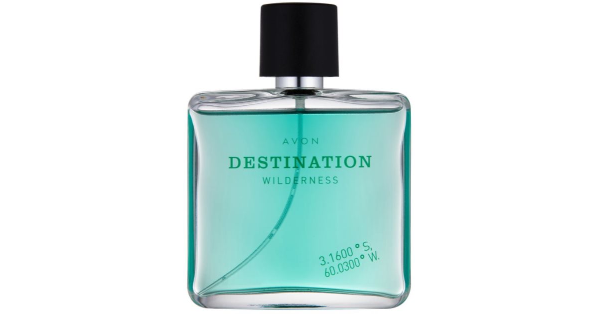 Avon Destination Wilderness woda toaletowa dla mężczyzn 75 ml | notino.pl