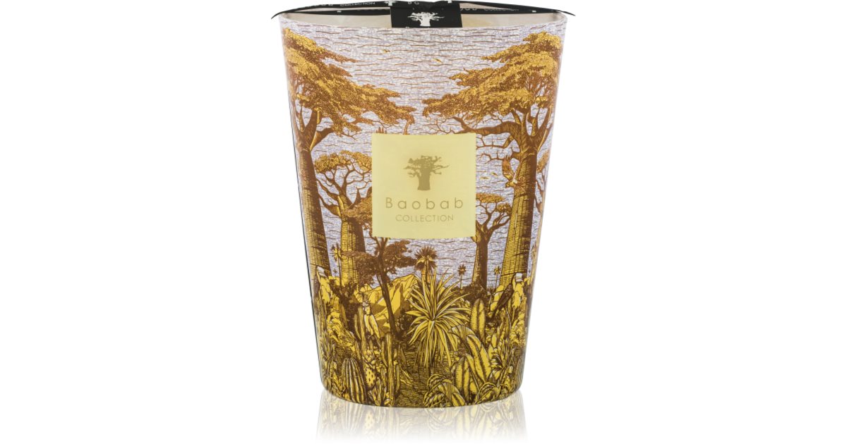 Baobab Collection Sacred Trees Cocody geurkaars | notino.nl