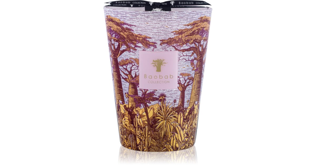 Baobab Collection Sacred Trees Massasso scented candle | notino.co.uk