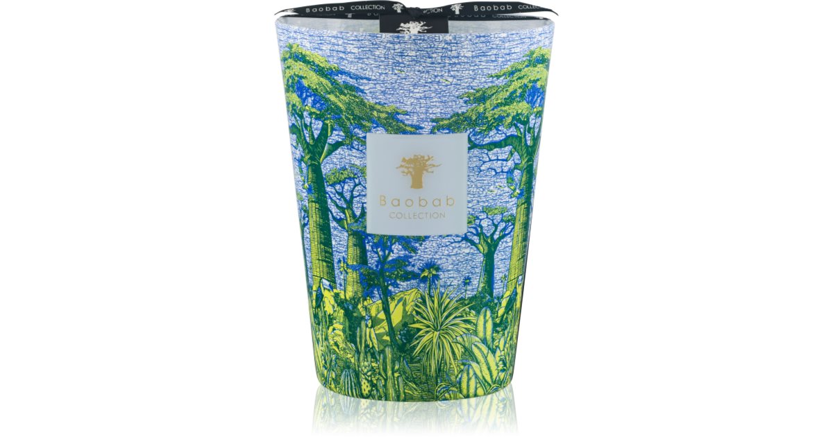 Baobab Collection Sacred Trees Yarani scented candle | notino.ie