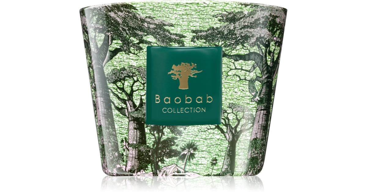 Baobab Collection Sacred Trees Touba scented candle | notino.co.uk