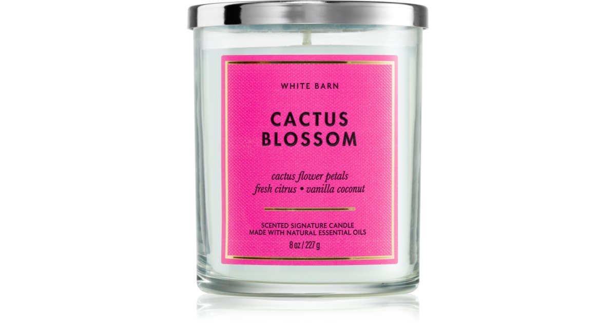 Bath & Body Works Cactus Blossom scented candle | notino.ie