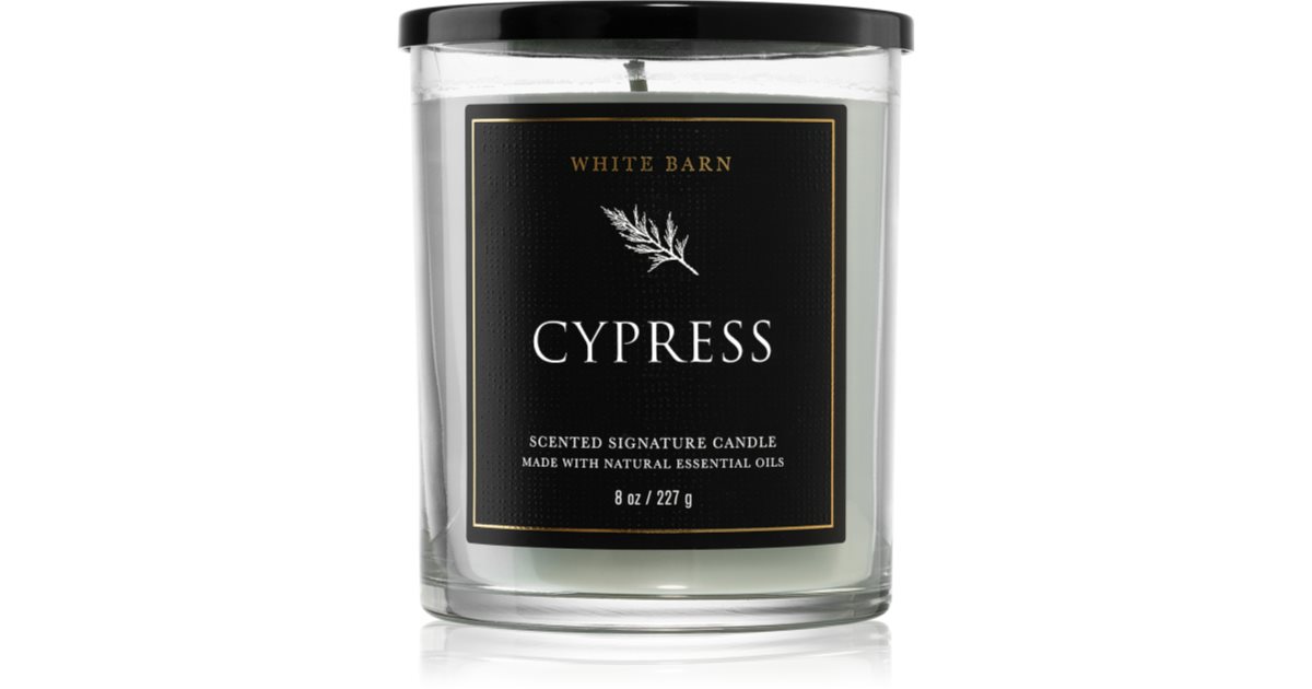 Bath & Body Works Cypress lõhnaküünal | notino.ee