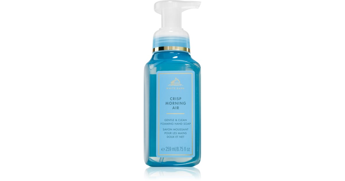 Bath & Body Works Crisp Morning Air flüssige Seife für die Hände ...