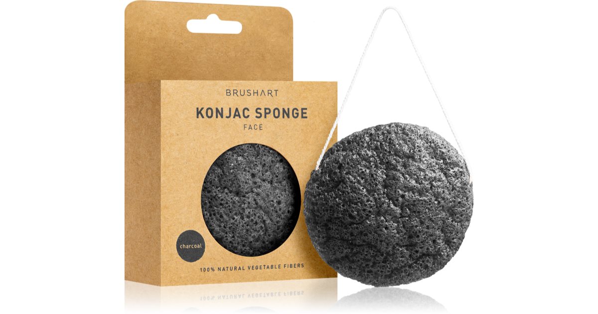 BrushArt Home Salon Konjac sponge gentle exfoliating sponge for the ...