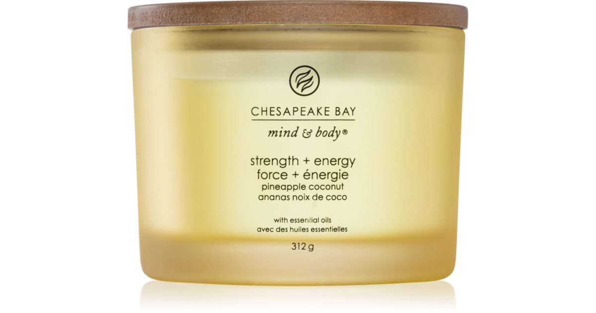 Chesapeake Bay Candle Mind & Body Strength & Energy scented candle I ...