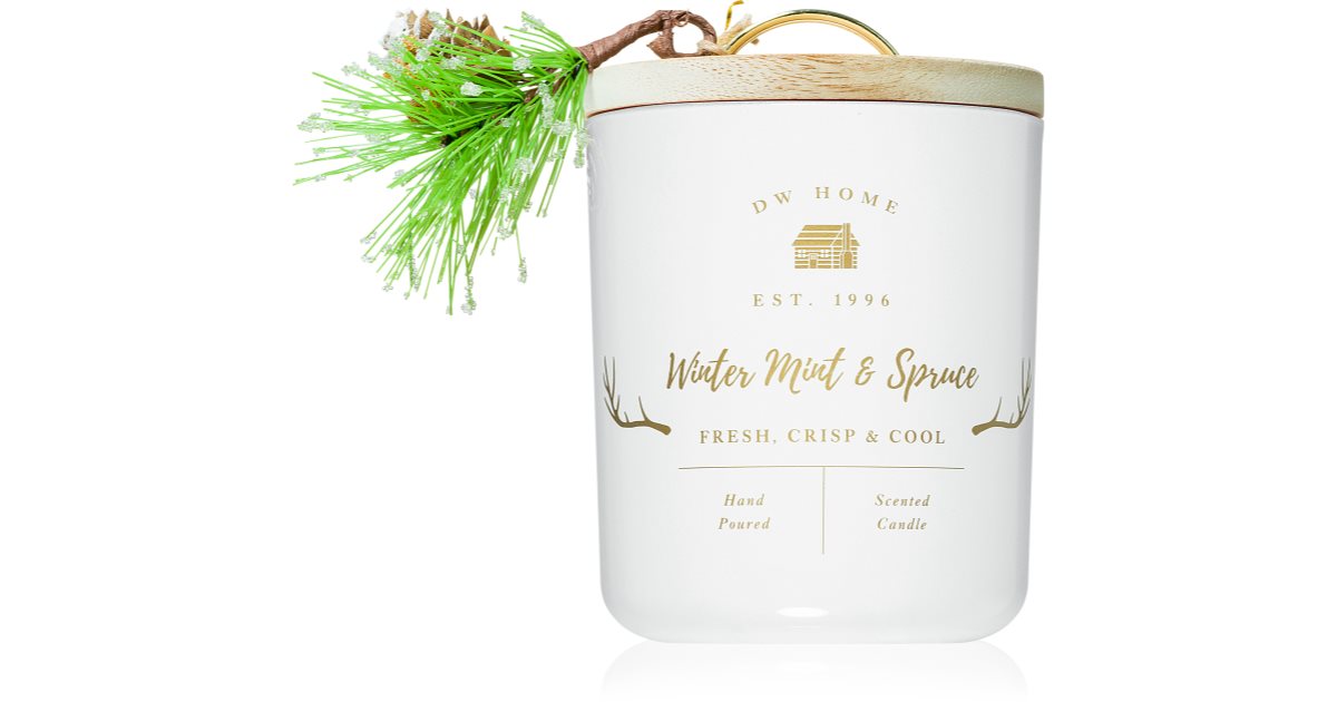 DW Home Farmhouse Winter Mint & Spruce vonná svíčka | notino.cz