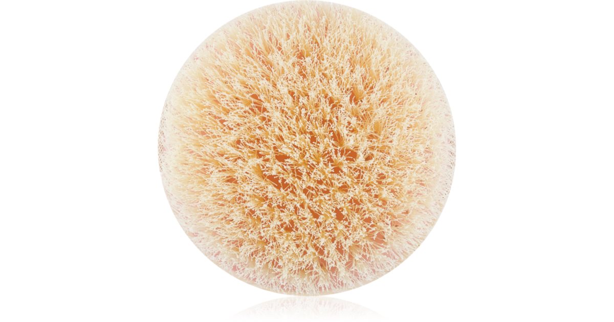 EcoTools Bath & Shower Dry Body cepillo con efecto alisante | notino.es