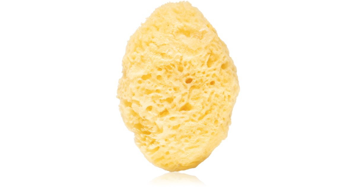 Huygens Small Ultra-Soft Sea Sponge Naturschwamm zum Waschen des ...