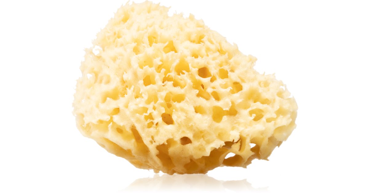Huygens Clear Natural Mediterranean Sea Sponge natürlicher ...