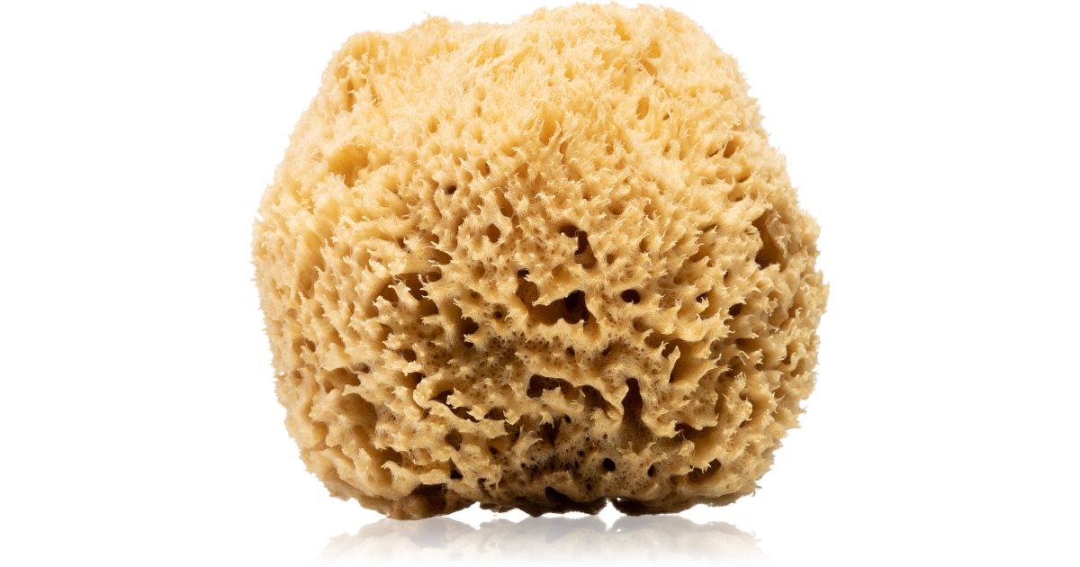Huygens Natural Mediterranean Sea Sponge éponge de bain marine ...