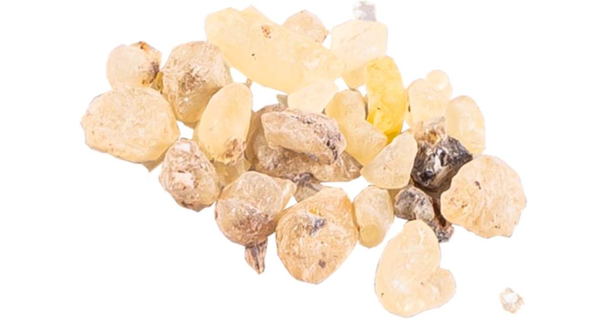 Jungle Way Oman Standard encens | notino.fr