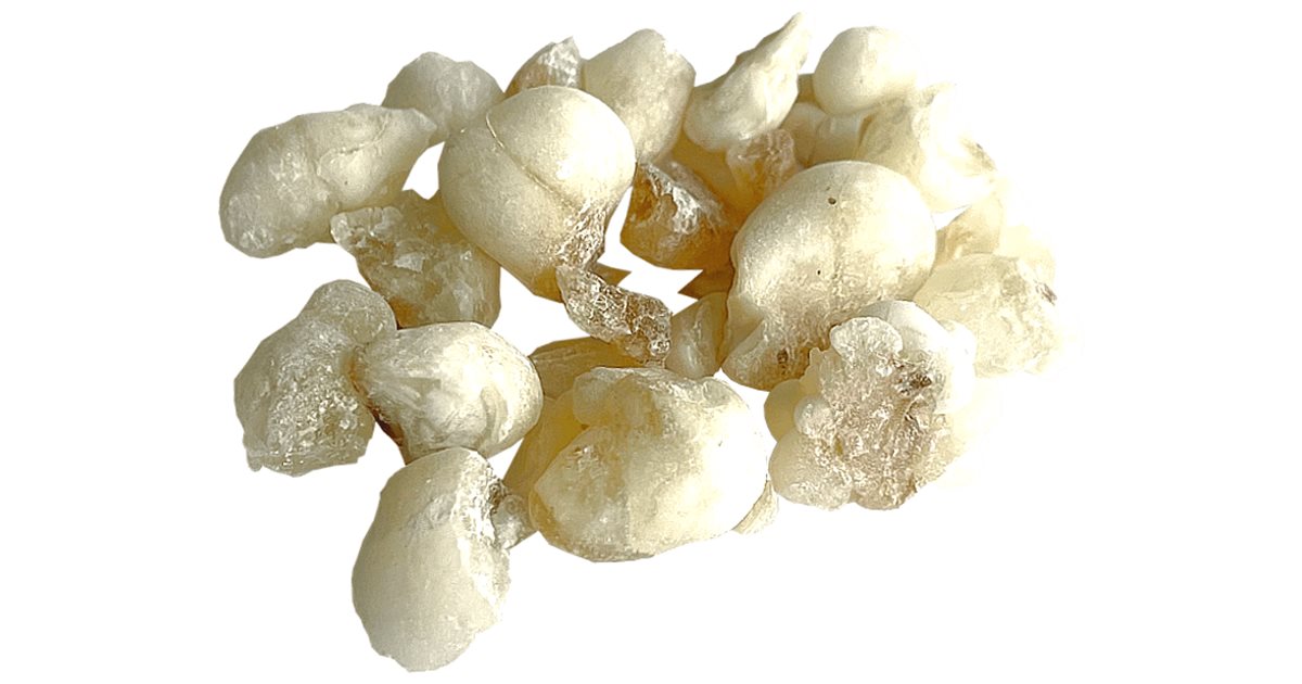 Jungle Way Oman Hojari White Royal | Brza dostava | notino.hr