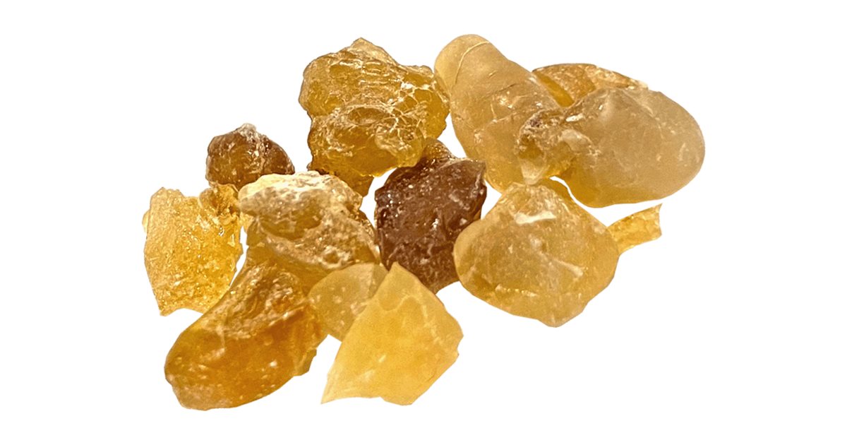 Jungle Way Oman Hojari Brown Royal kadilo | notino.si