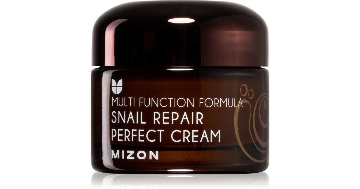 Mizon Multi Function Formula Snail face cream with snail secretion ...
