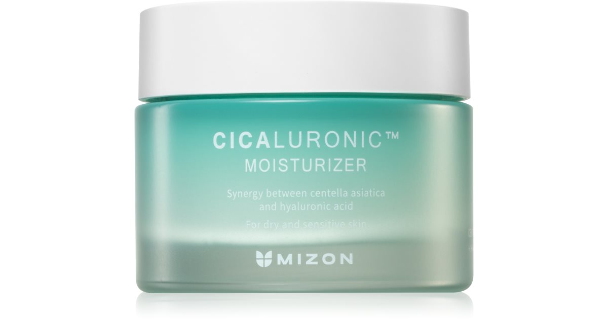 Mizon Cicaluronic™ Nourishing and Moisturizing Cream for very dry and ...