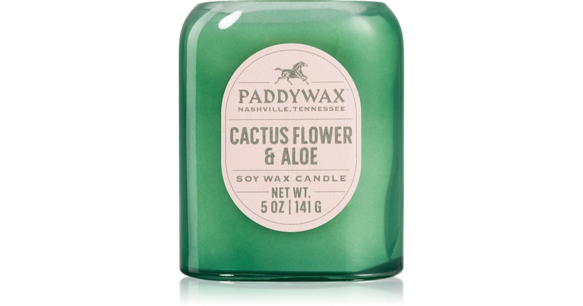 Paddywax Vista Cactus Flower & Aloe lõhnaküünal | notino.ee