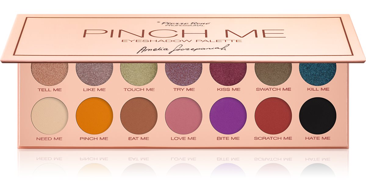 Pierre René Pinch Me Eyeshadow Palette | notino.ie