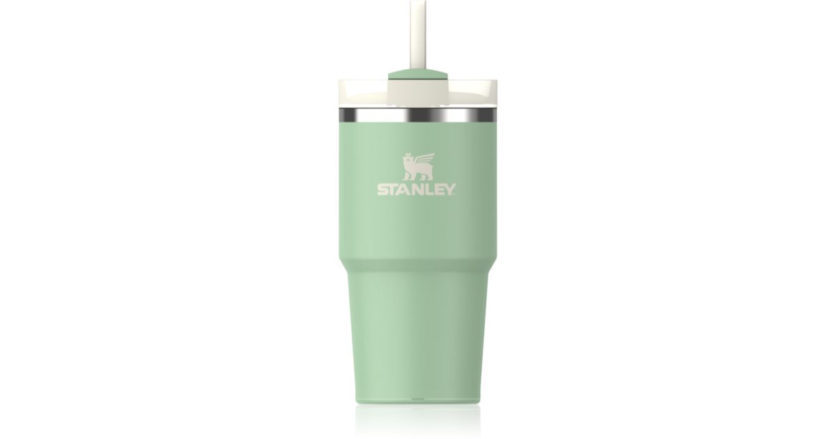Stanley Quencher H2.O FlowState™ Tumbler stainless steel tumbler with ...