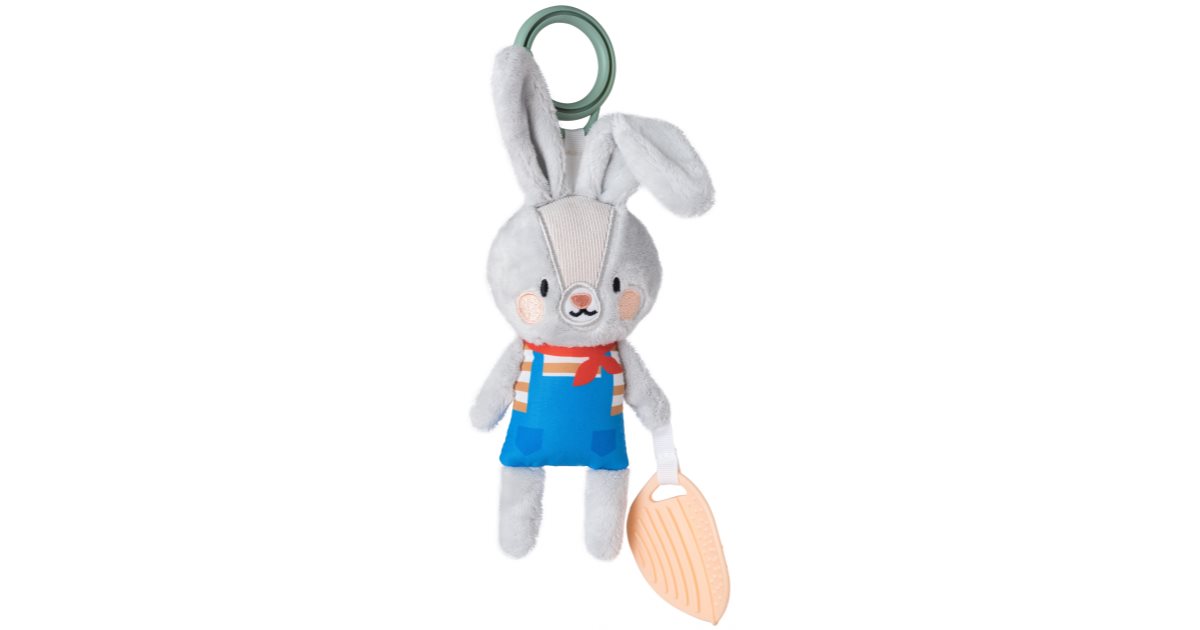 Taf Toys Hanging Toy Rylee the Bunny contrast hanging toy with teether ...