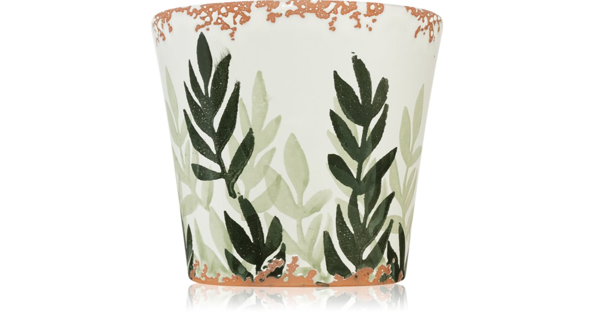 Wax Design Fig Leaf dišeča sveča | notino.si